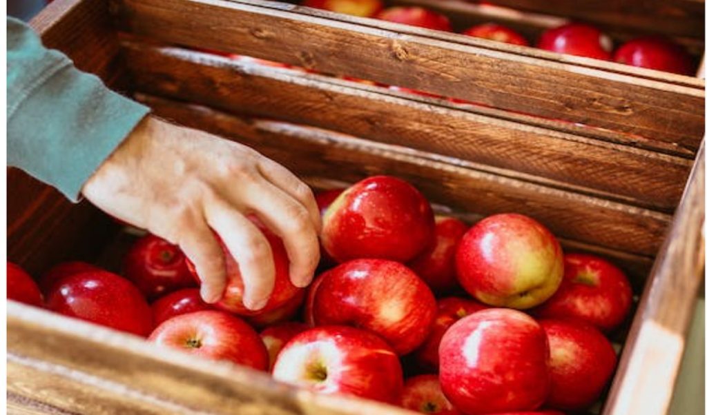 The Franklin Crate Company's Equal Opportunity for Black Workers ...